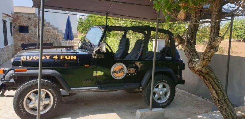 Cala Millor/Sa Coma: Guided Buggy Tour - Why This Tour Might Be the Perfect Choice for You