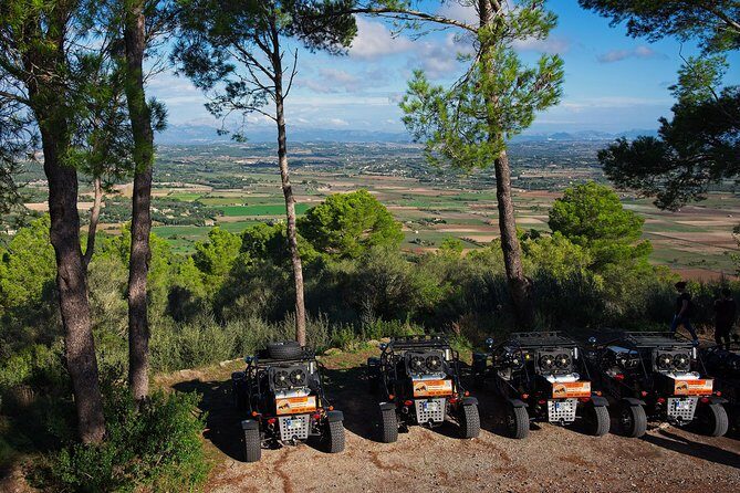 "Cala Millor & Sa Coma: TOP Buggy Tours  your mega experience!" - Authentic Experiences & Reviewer Insights