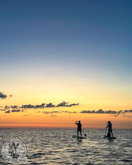 Cala Ratjada: Stand Up Paddle Sunrise Tour - The Sum Up