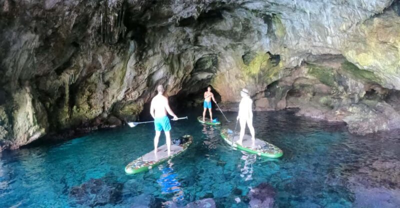 Cala Ratjada: SUP SAFARI TOUR 2H - The Complete Experience: What to Expect  