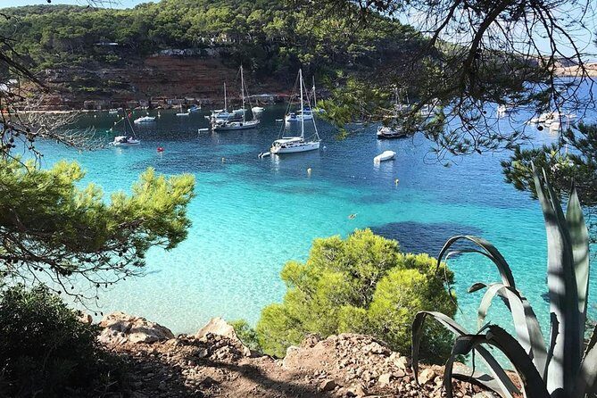 Cala Salada and Unspoiled North Beach Tour. Snorkelling and Aquarium - Who Will Love This Tour?