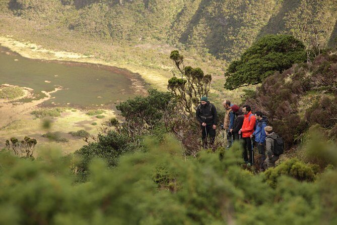 Caldeira do Faial Descent - private hiking tour - Exploring the Caldeira do Faial Descent – A Detailed Review