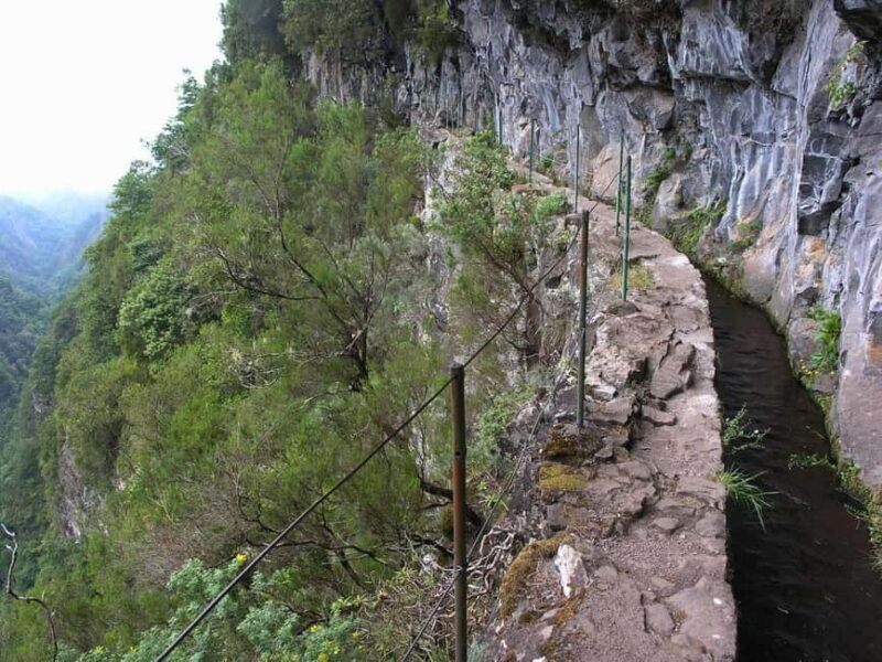 Caldeirão Verde: Levada Caldeirao Verde Hiking Transfer - Transport and Practicalities: Why It Works Well