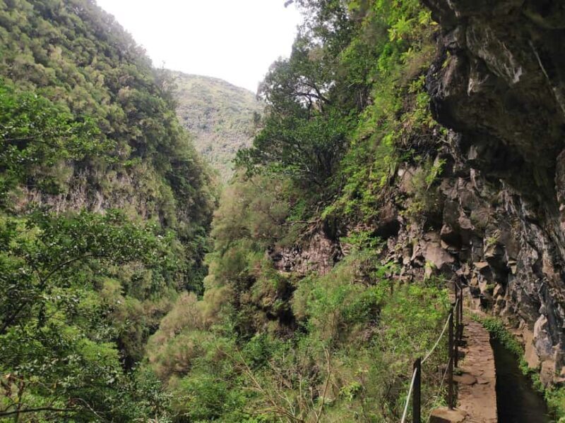Caldeirão Verde: Levada Caldeirao Verde Hiking Transfer - Authentic Experiences and Hidden Gems