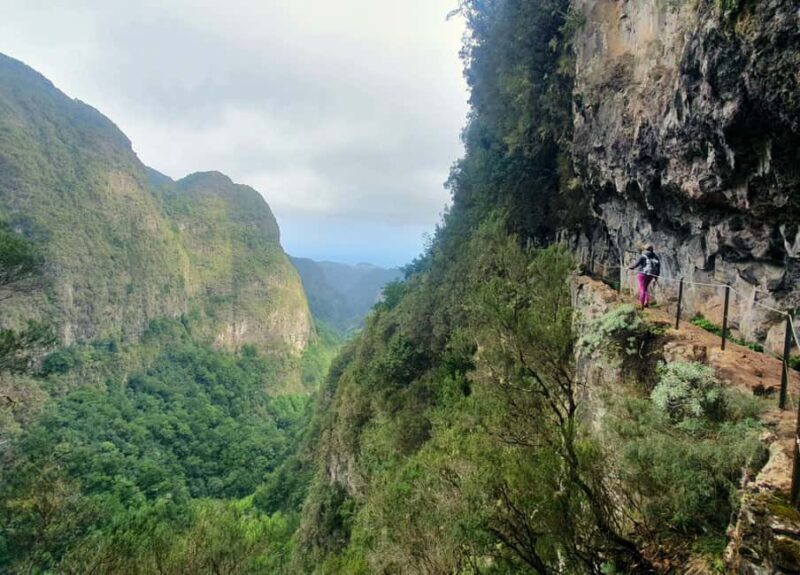Caldeirão Verde: Levada Caldeirao Verde Hiking Transfer - Final Thoughts: Who Will Love This Tour?