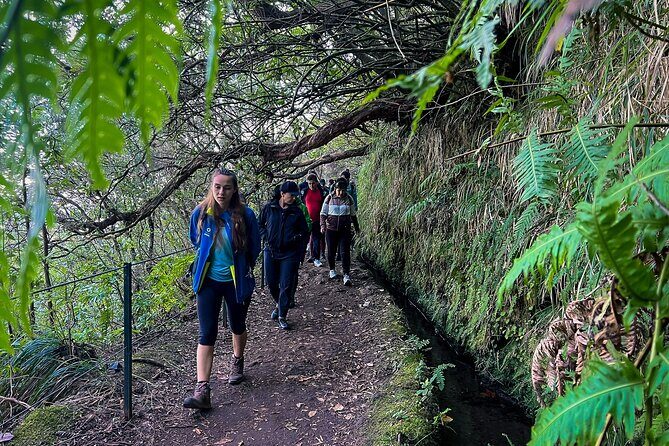 Caldeirão Verde Levada (PR 9) - Guided Madeira Levada Walk - The Value for Money