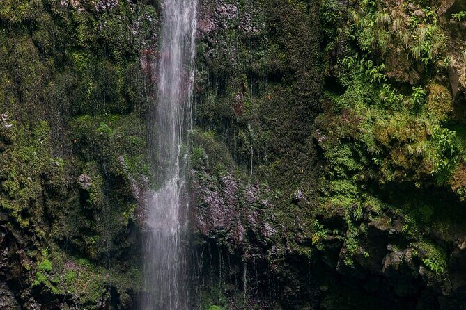 Caldeirão Verde Levadas Walk in Madeira - FAQ