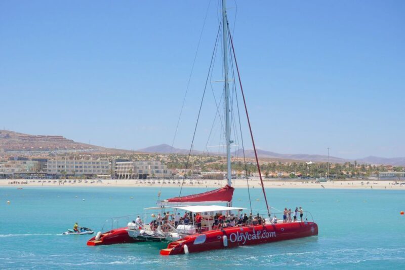 Caleta de Fuste: Catamaran Sailing Experience - Key Points