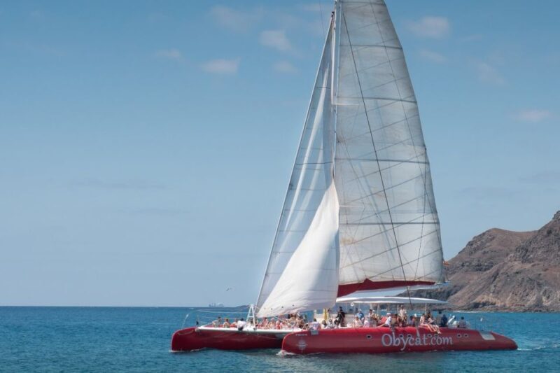Caleta de Fuste: Catamaran Sailing Experience - An Overview of the Catamaran Sailing Experience