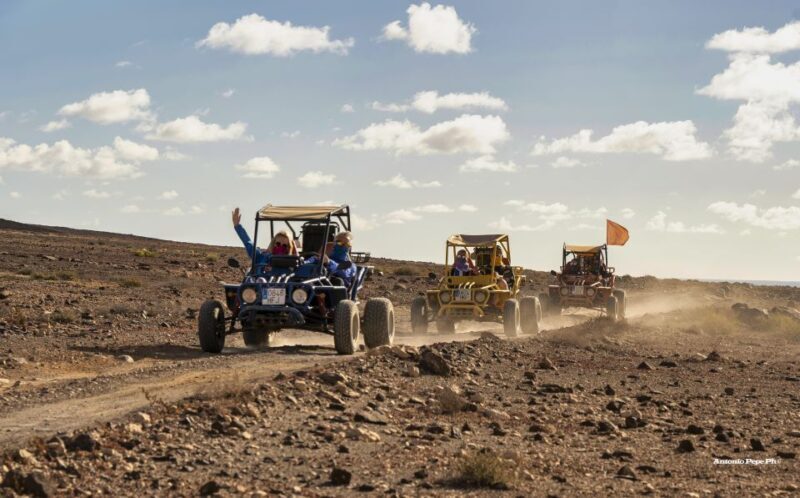 Caleta De Fuste: Guided Buggy Explorer Tour - The Sum Up