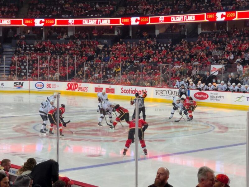 Calgary: Calgary Flames Ice Hockey Game Ticket - Authentic Insights from Reviewers
