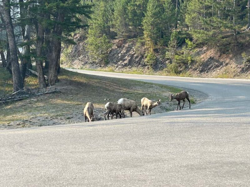 Calgary/Canmore/Banff: BEST of BANFF with LAKES Group Tour - Who Would Enjoy This Tour?