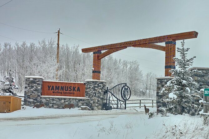 Calgary City Tour and Yamnuska Wolfdog Sanctuary Private Tour - Who Is This Tour Best For?