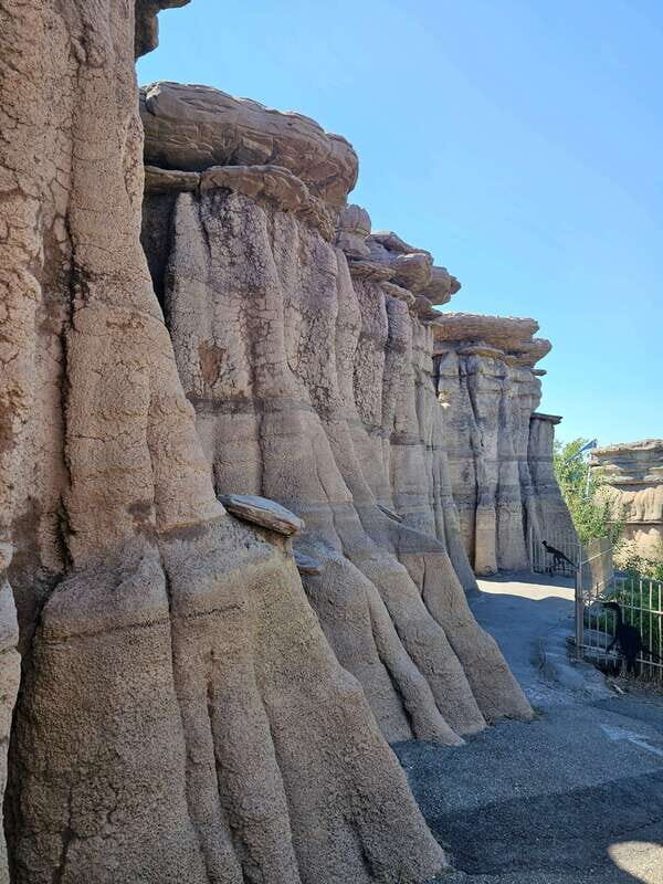 Calgary City Tour & Yamnuska Wolfdog Sanctuary Private Tour - FAQ