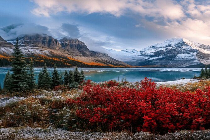 Calgary: Columbia Icefield Adventure, Skywalk and Peyto Lake Tour - FAQ