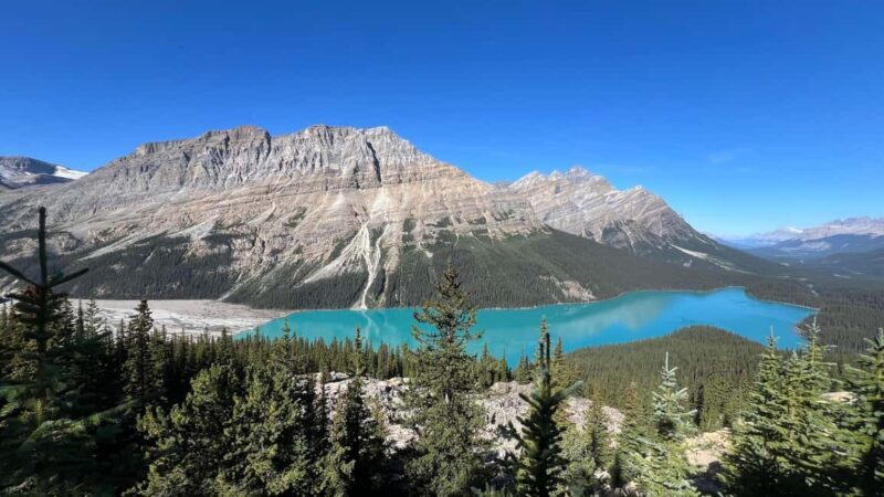 Calgary: Columbia Icefield & Bow Lake & Peyto Lake - Introduction: What Makes This Tour Stand Out?