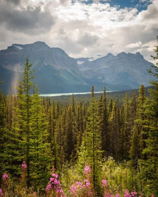 Calgary: Crowfoot, Bow-Peyto Lake, Marble Canyon Day Trip - FAQ