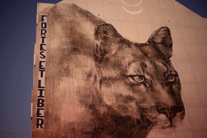 Calgary: Street Art & Craft Beer Walking Tour w/ Tastings - Concluding Thoughts