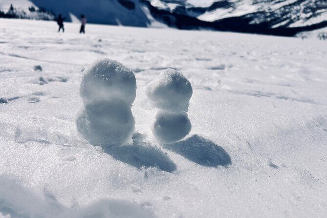 Calgary to Banff,YoHo National Park Private Day Tour - Authentic Insights from Reviews