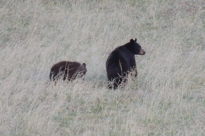Calgary to the Rocky Mountains Private Day Tour - Who Will Love This Tour?