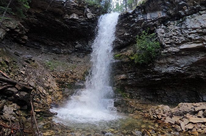 Calgary to the Rocky Mountains Private Day Tour - Summing It Up