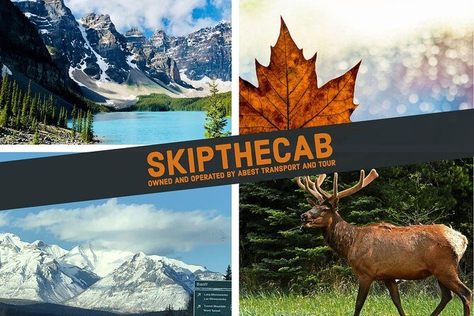 Calgary YYC Airport to Downtown Calgary Hotels - Authentic Insights from Reviews