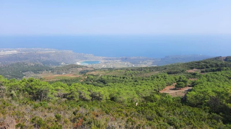 calice in cratere - Final Thoughts