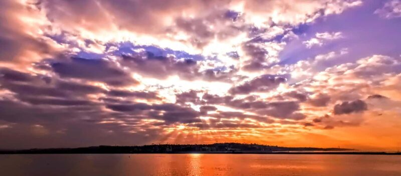 California Coastline Scenic Wildlife Photography Tour - Key Points