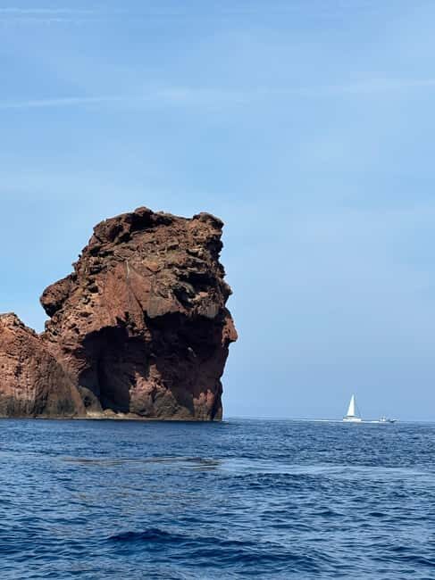 Calvi: Guided speedboat tour to Scandola - What’s Included and What to Expect