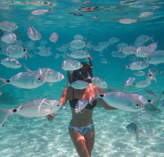 Calvi : Sortie snorkeling en bateau en bordure de réserve - The Sum Up