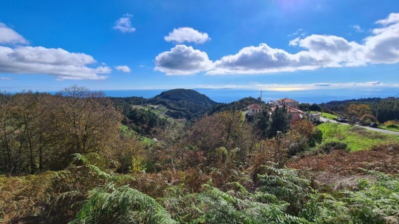 Camacha: Levada Trail e-Bike Guided Tour - The Sum Up