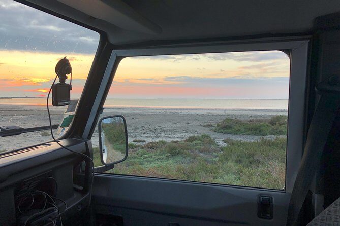 Camargue 4x4 Safari Day - Who Should Consider This Tour?