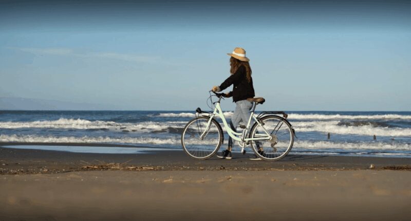 Camarles: Bike Rental - Key Points