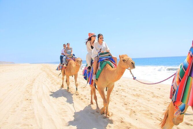 Camel Adventure on the Beach - Key Points