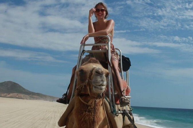 Camel Adventure on the Beach - FAQs