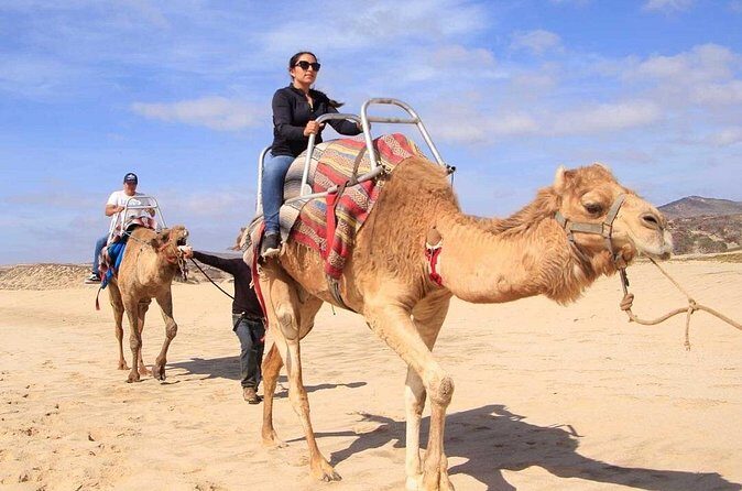 Camel Desert Ride Experience in Cabo - Final Thoughts