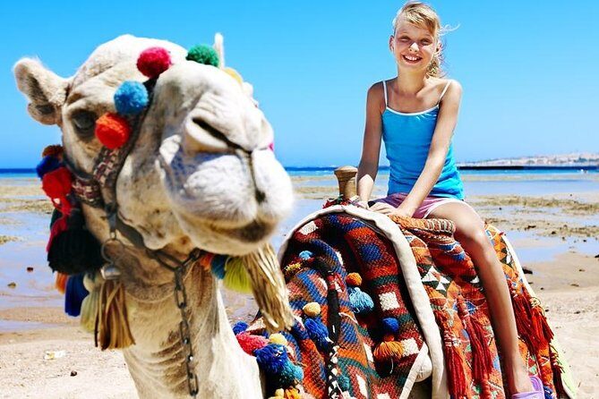 Camel Encounter and Safari Ride. Includes lunch & alcohol tasting - Who Is This Tour Best For?