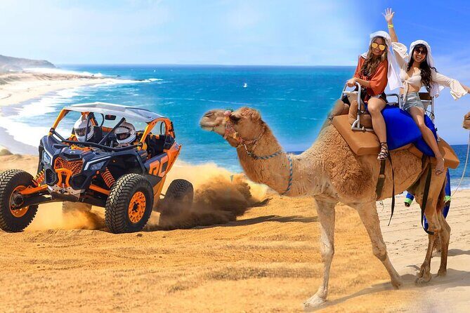 Camel Ride and UTV Combo Adventure, with Tequila Tasting - Exploring the Camel Ride and UTV Combo Adventure in Cabo San Lucas