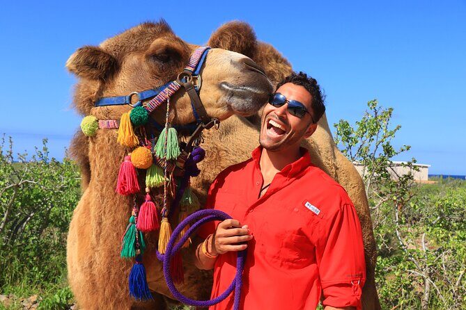 Camel Ride and UTV Combo Adventure, with Tequila Tasting - Pros and Cons Based on Real Experiences