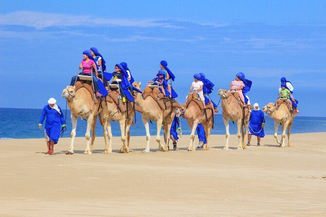 Camel Ride and UTV Combo Adventure, with Tequila Tasting - Who Should Consider This Tour?
