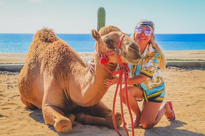 Camel Ride and UTV Combo Adventure, with Tequila Tasting - Final Thoughts