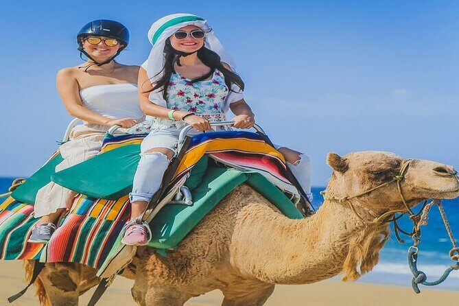 Camel Ride & ATV Combo in Migriño, Mexico - What to Expect from the Camel Ride & ATV Combo