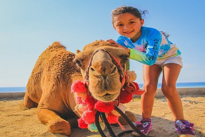 Camel Ride & ATV Combo in Migriño, Mexico - Who Will Love This Tour?