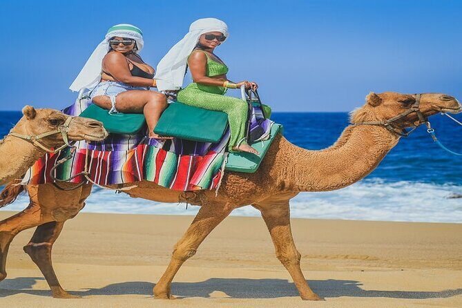 Camel Ride & ATV Combo in Migriño, Mexico - Frequently Asked Questions