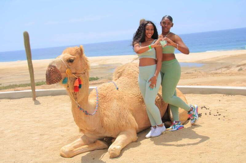 Camel Ride Beach and Desert Adventure. - What Is the Camel Ride Beach and Desert Adventure?