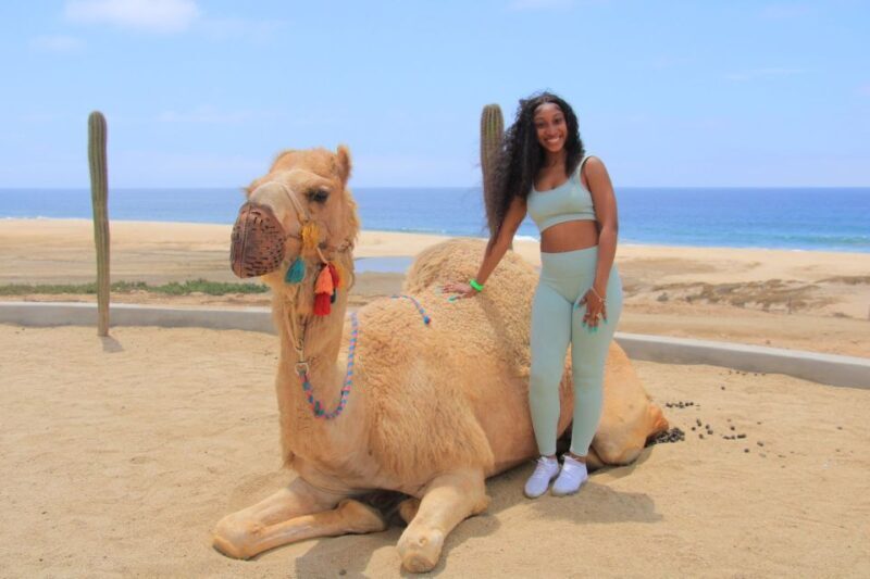 Camel Ride Beach and Desert Adventure. - Practical Details and Tips for Travelers