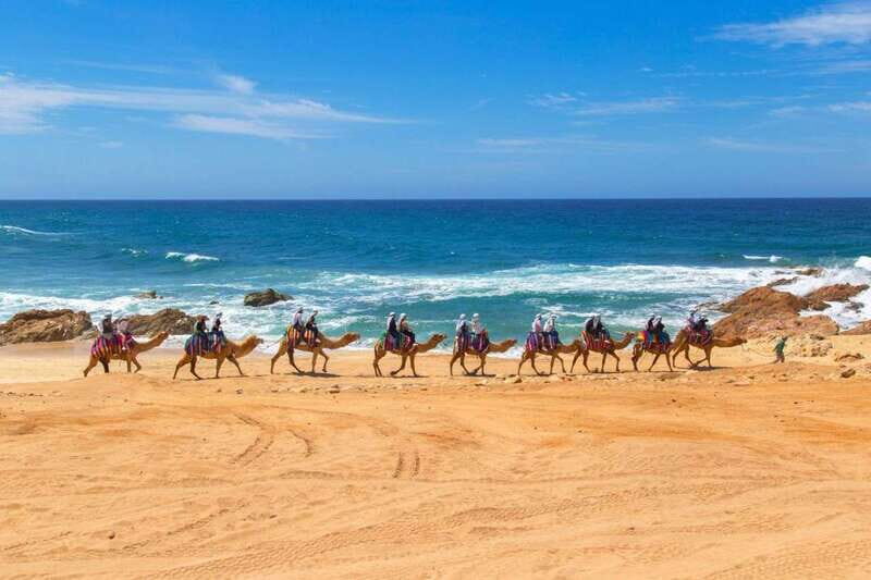 Camel Ride Beach and Desert Adventure. - Who Will Enjoy This Tour?