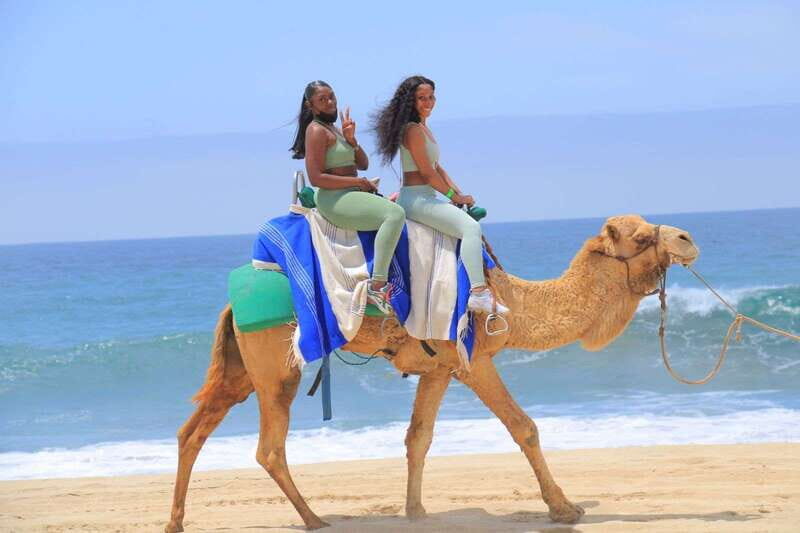 Camel Ride Beach and Desert Adventure. - The Sum Up