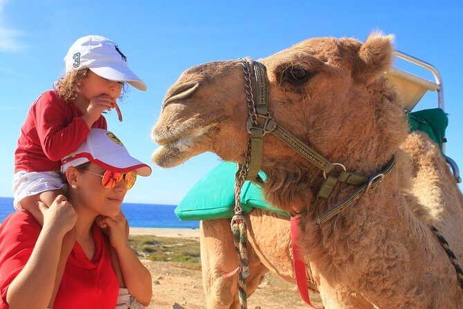Camel Ride & Encounter at Los Cabos - Exploring the Tour: What You Can Expect