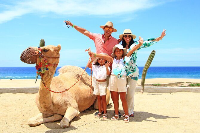 Camel Ride Experience in Los Cabos with Pick up and Lunch - A Comprehensive Look at the Camel Ride Tour in Los Cabos